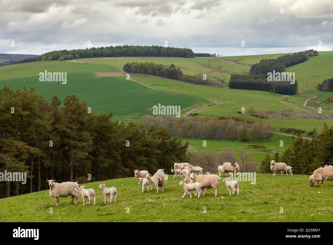 Southern upland way hi-res stock photography and images - Alamy
