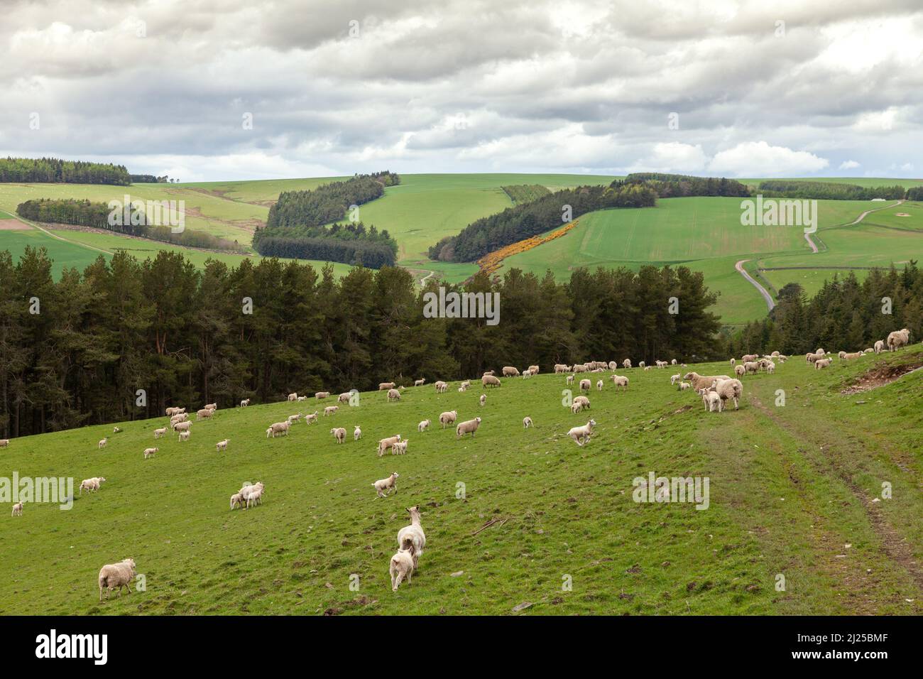 Southern upland way hi-res stock photography and images - Alamy