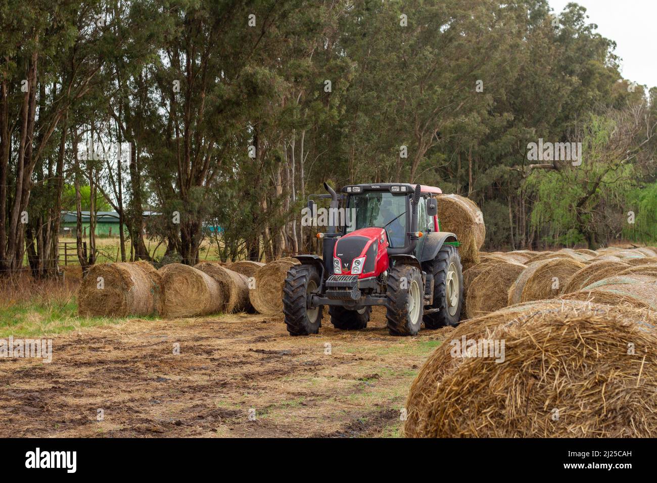 Red tractor with red wheels hi-res stock photography and images - Alamy