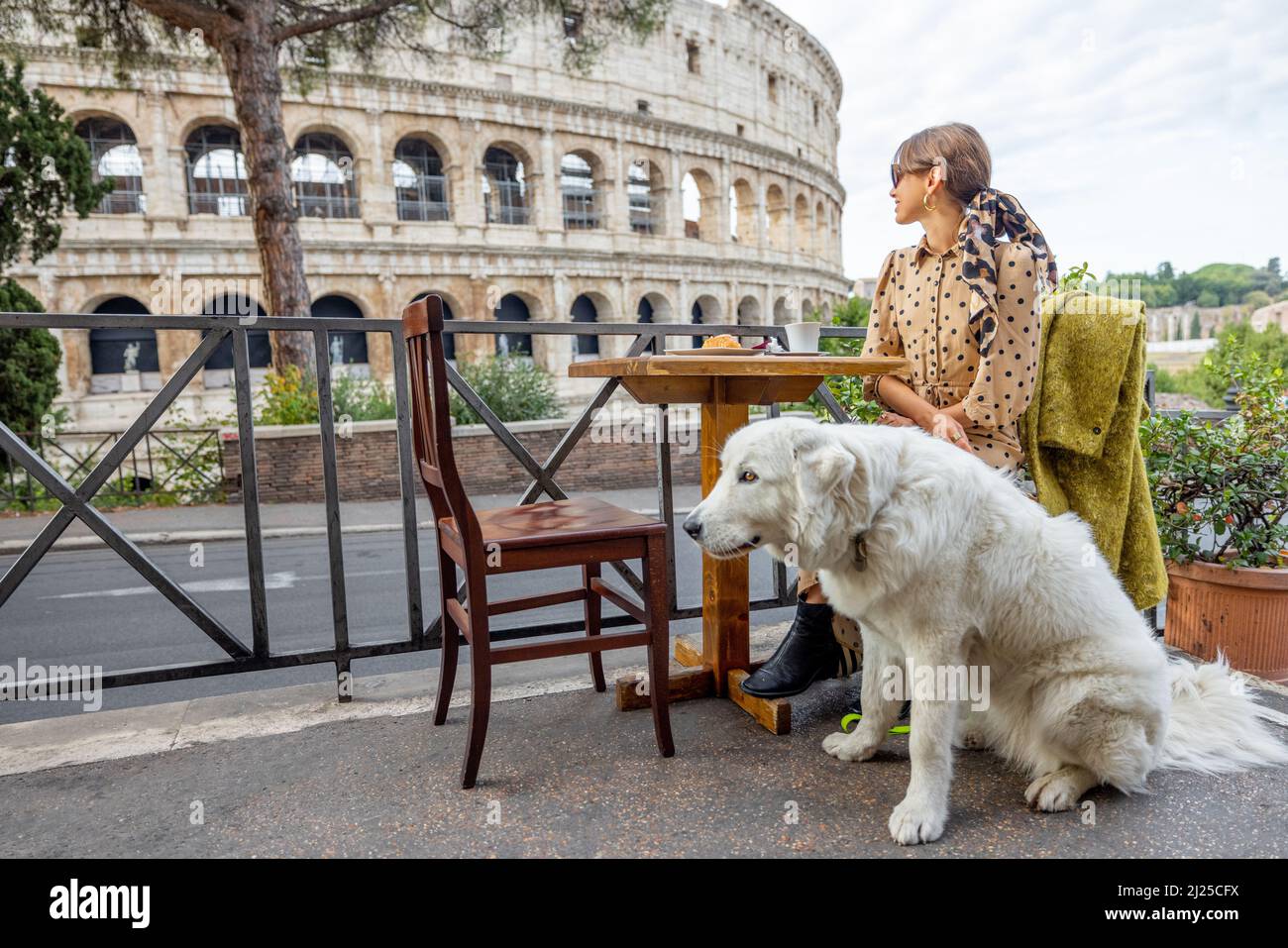 Woman with her dog at outdoor cafe in front of coliseum in Rome, Italy ...