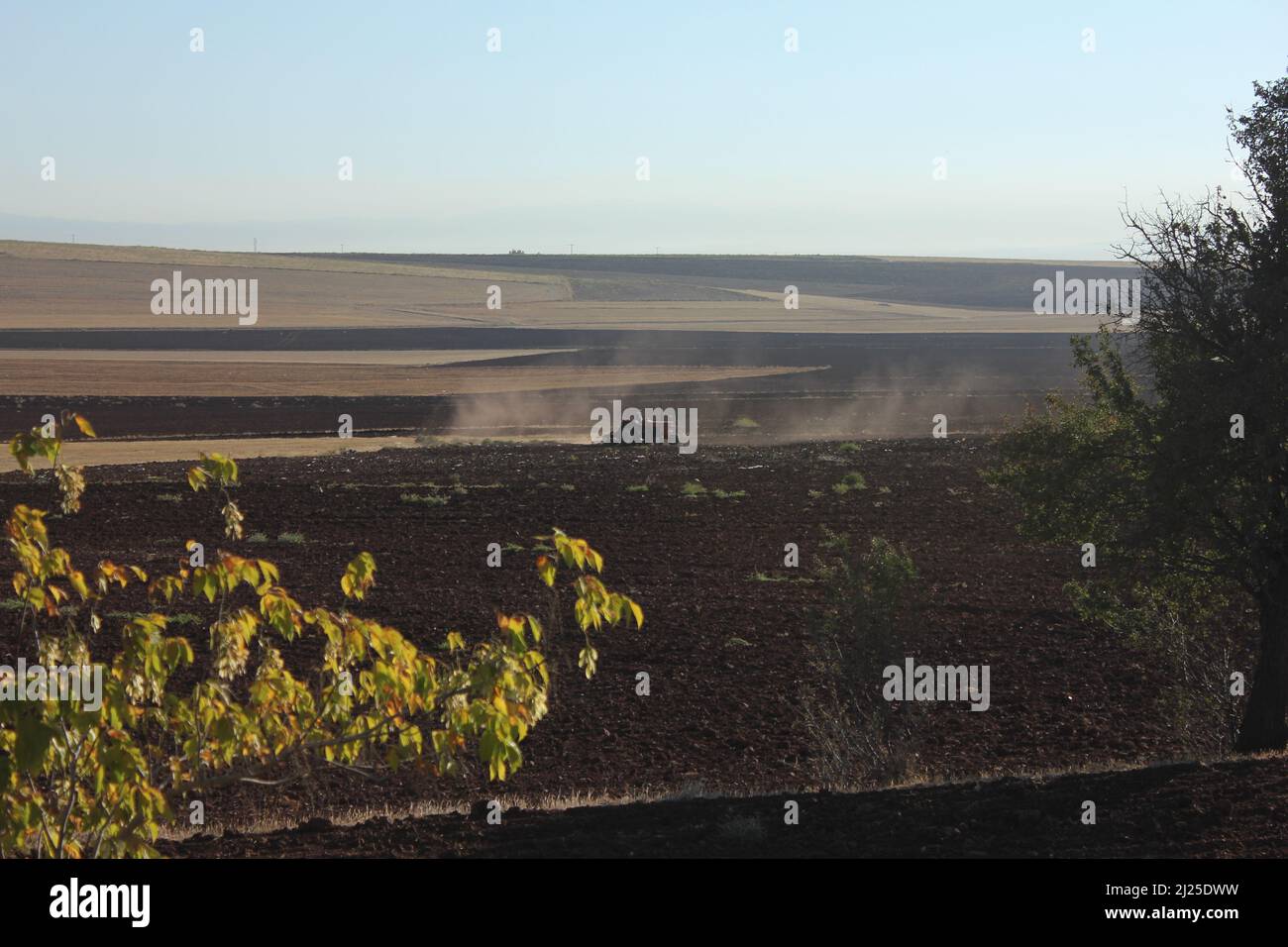 An old red tractor working on a field in dust. Farming and plowing in ...