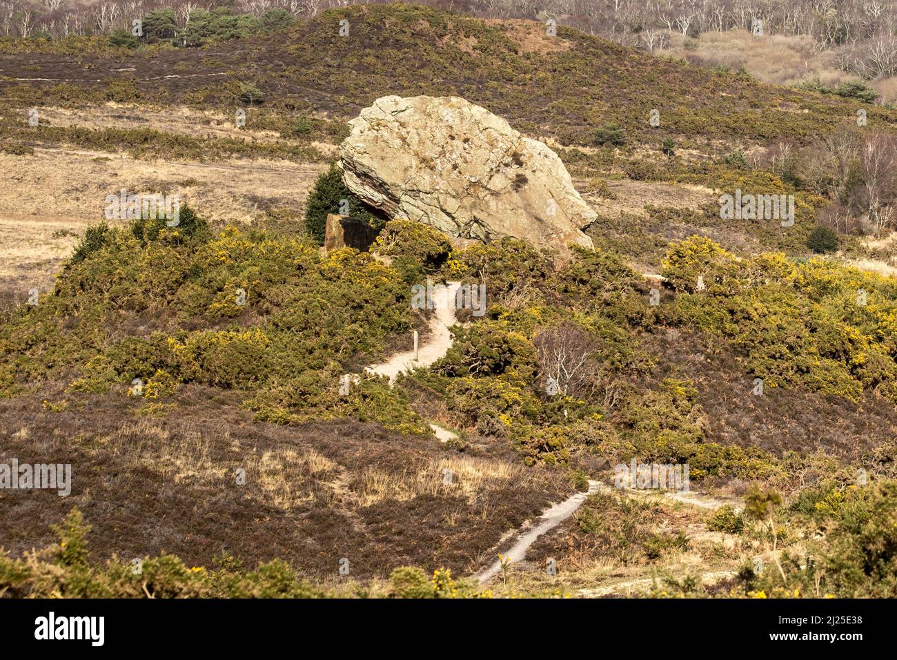 Agglestone Rock aka Devil's Anvil, Studland and Godlingston Heath ...