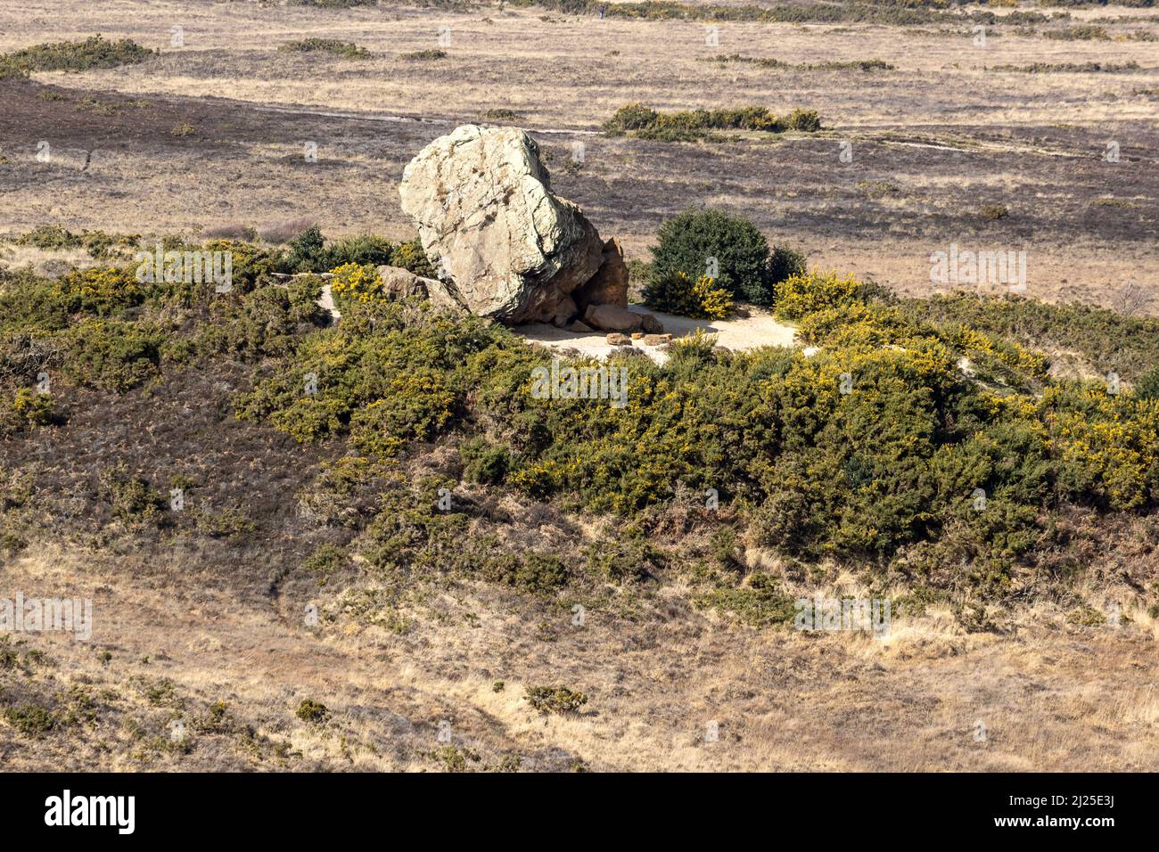 Agglestone Rock aka Devil's Anvil, Studland and Godlingston Heath ...