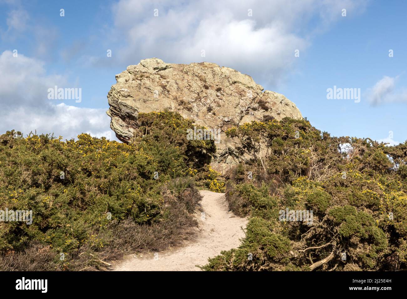 Agglestone Rock aka Devil's Anvil, Studland and Godlingston Heath ...