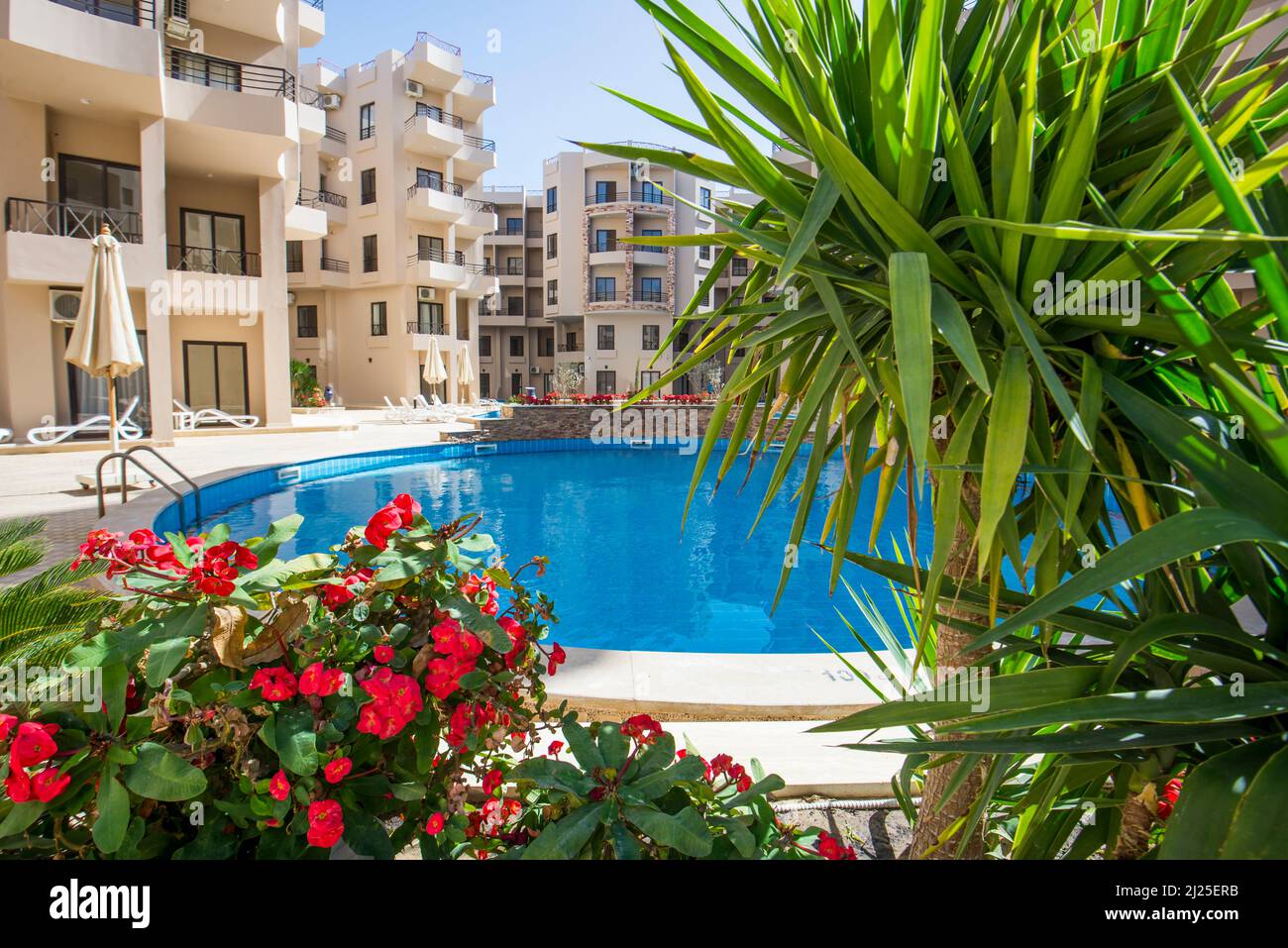 Large swimming pool with plants at a luxury tropical hotel apartment ...
