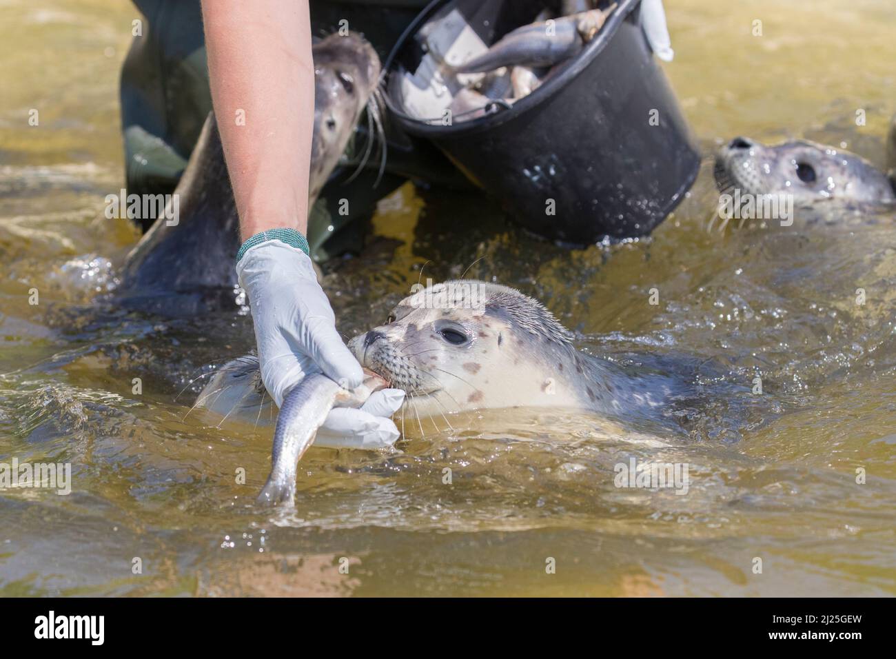 Fish rearing station hi-res stock photography and images - Alamy