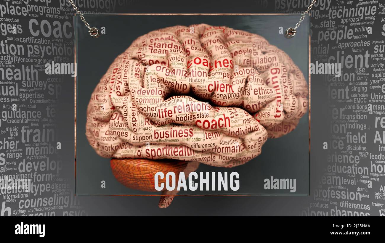 Coaching anatomy - its causes and effects projected on a human brain ...