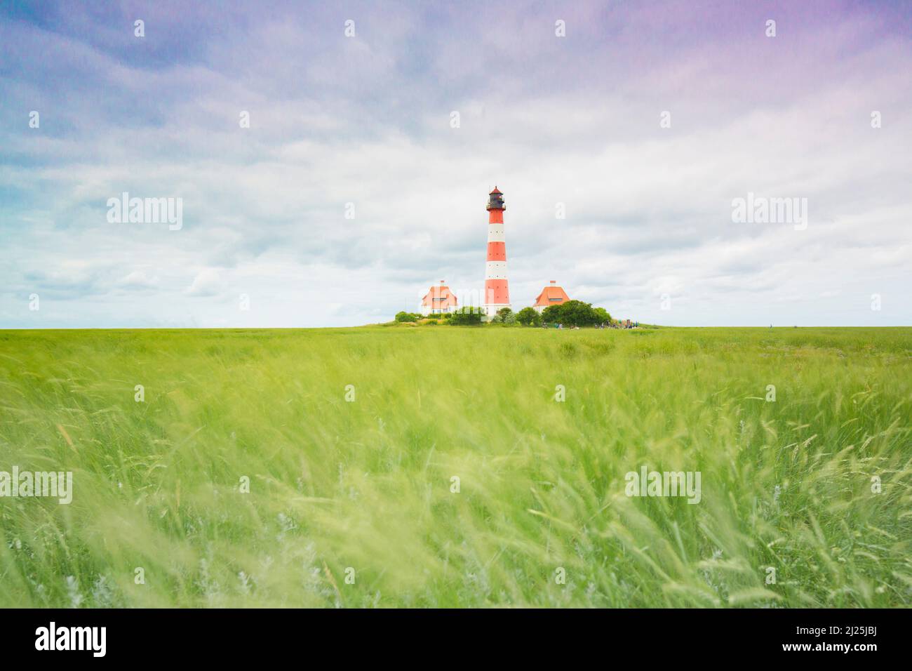 Westerhever lighthouse in salt marsh. Wadden Sea National Park, North ...