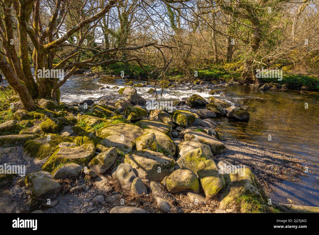 The river Afon Dwyfor at Llanystumdwy on a late spring morning before ...