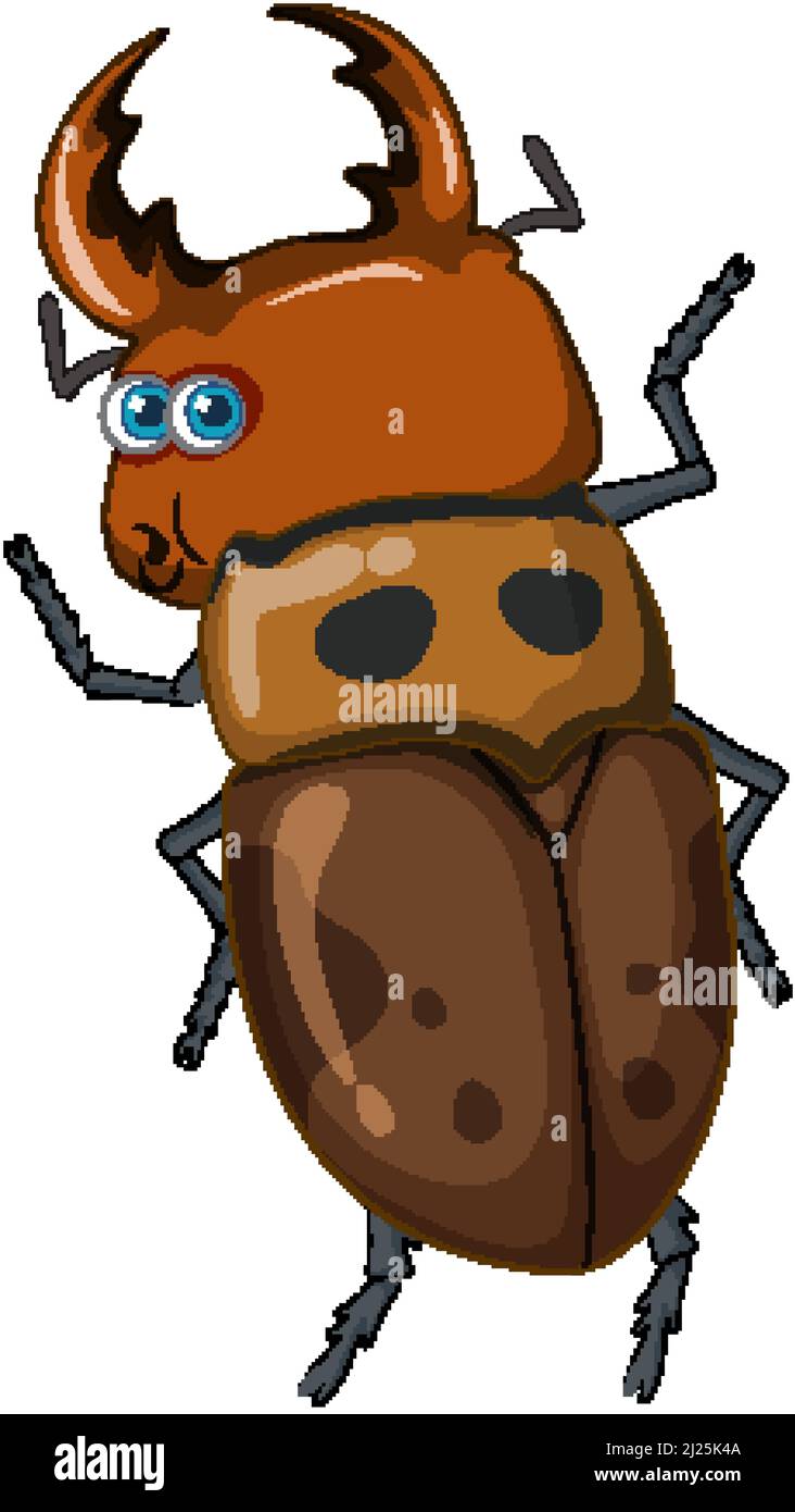 A beetle cartoon character isolated illustration Stock Vector Image ...
