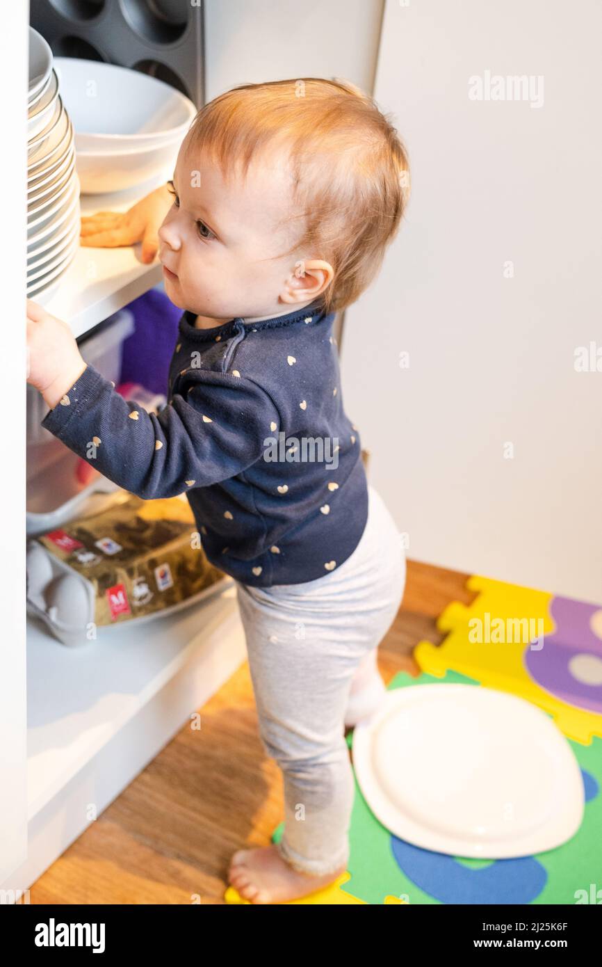 Small baby toddler girl taking out plates from the kitchen cupboard ...