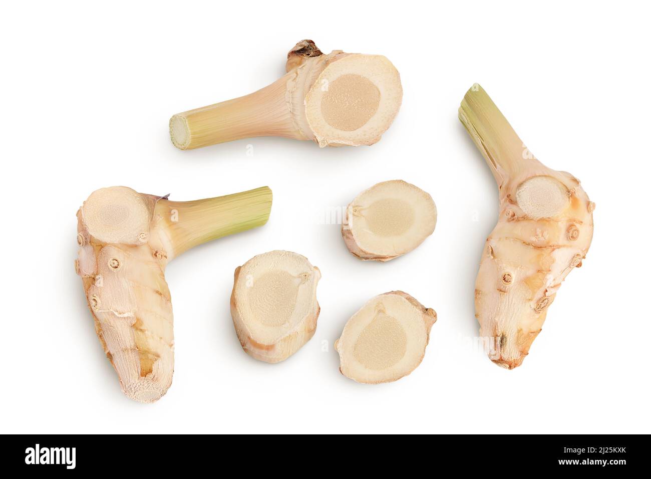 Fresh galangal root with slices isolated on white background with ...