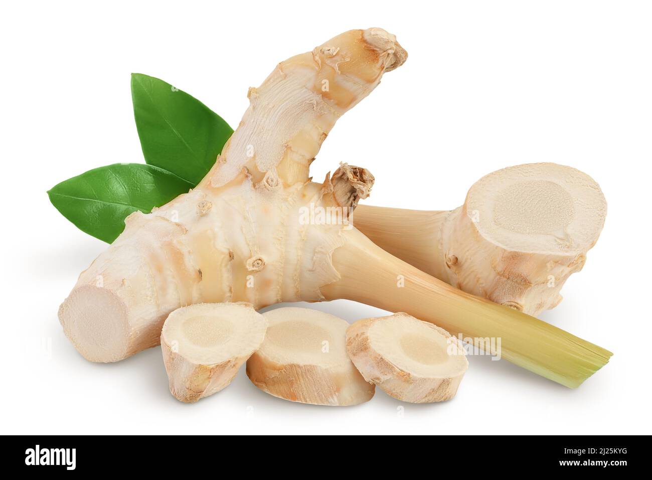 Fresh galangal root with slices isolated on white background with ...
