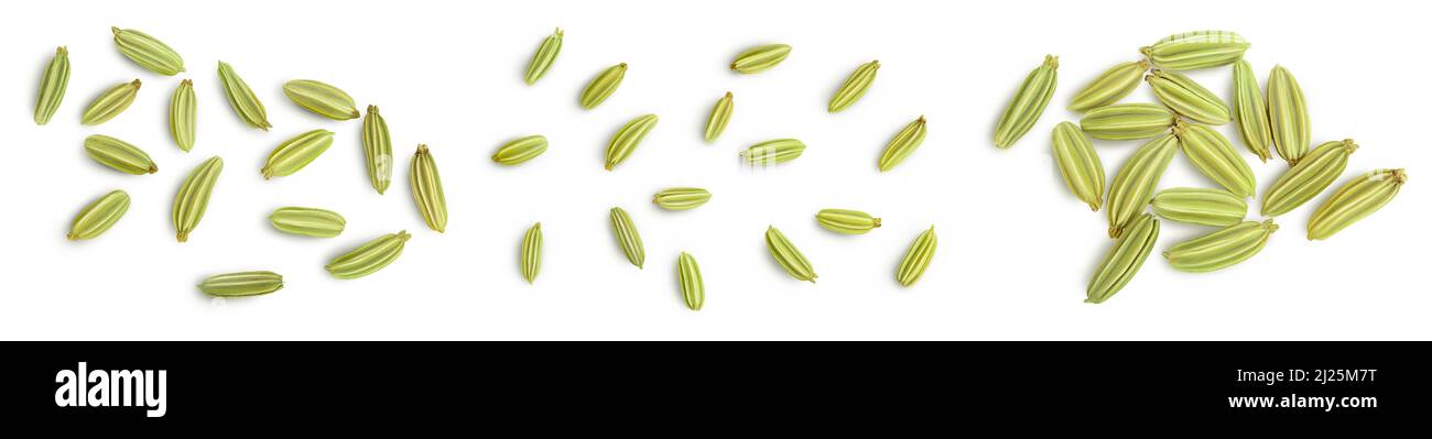 Dried fennel seeds isolated on white background with clipping path. Top ...