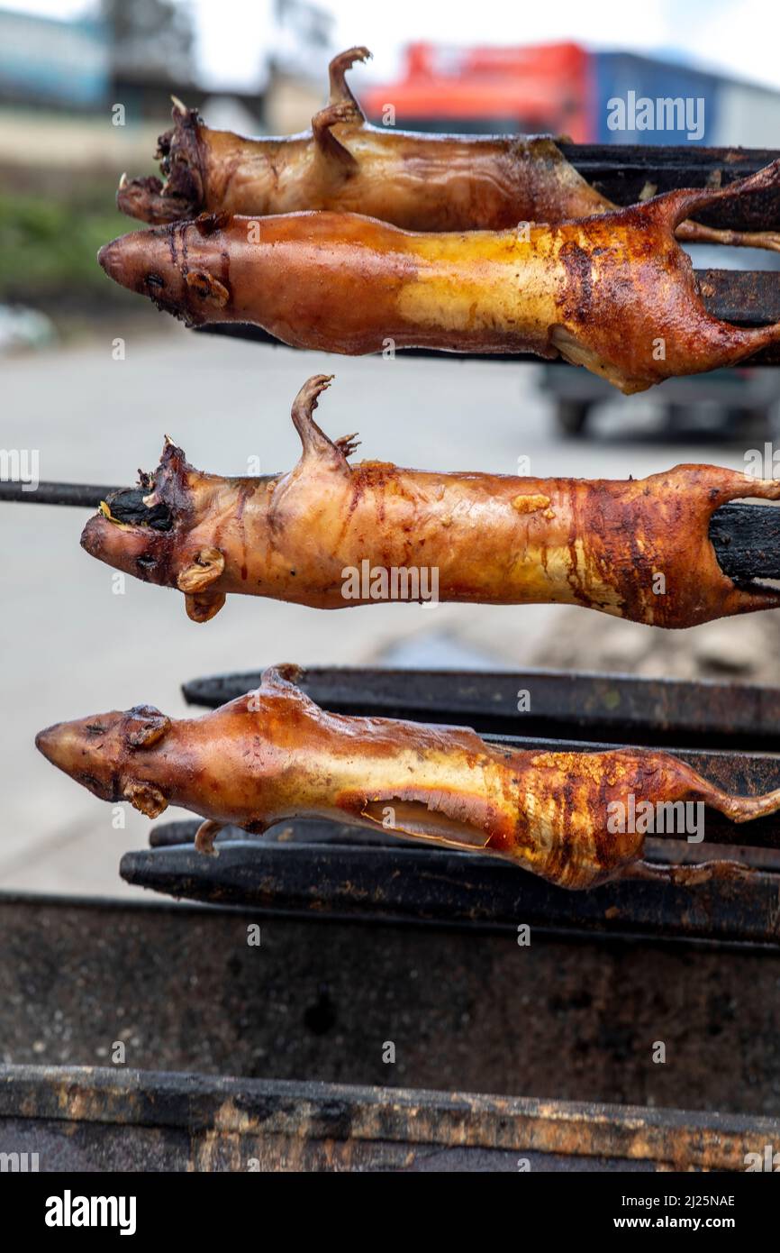 Guinea pig roasting in a Chimborazo village, Ecuador Stock Photo - Alamy
