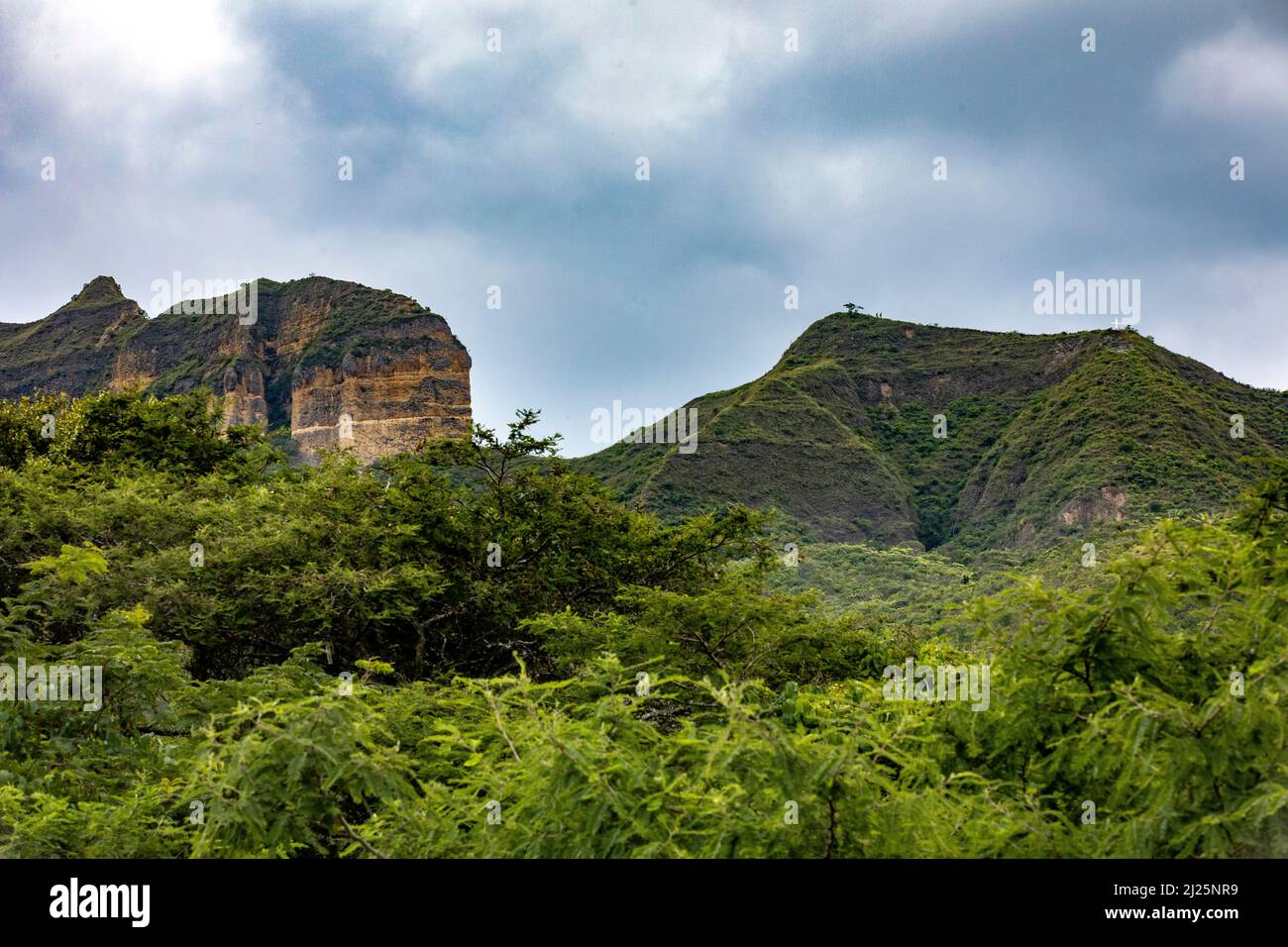 Southern sierra landscape, Ecuador Stock Photo - Alamy