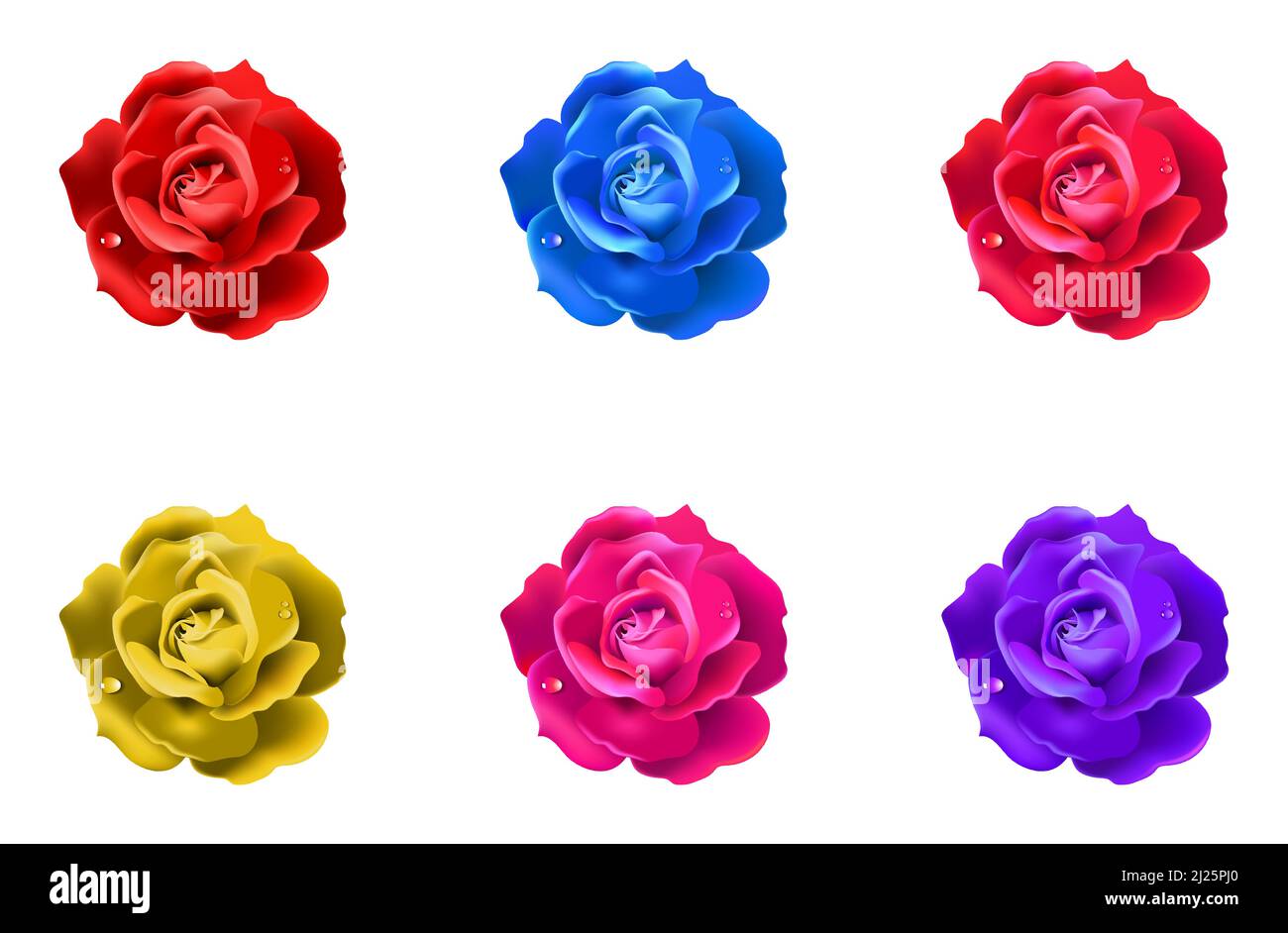 Petal red rose flower Stock Vector Images - Alamy