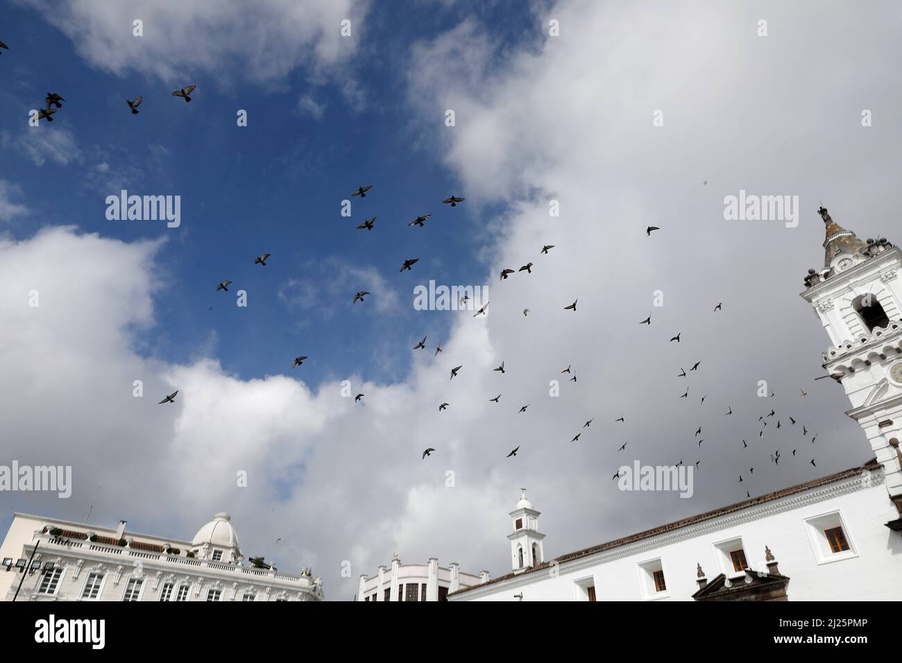 Birds flying over Saint Francis church, Quito, Ecuador Stock Photo - Alamy