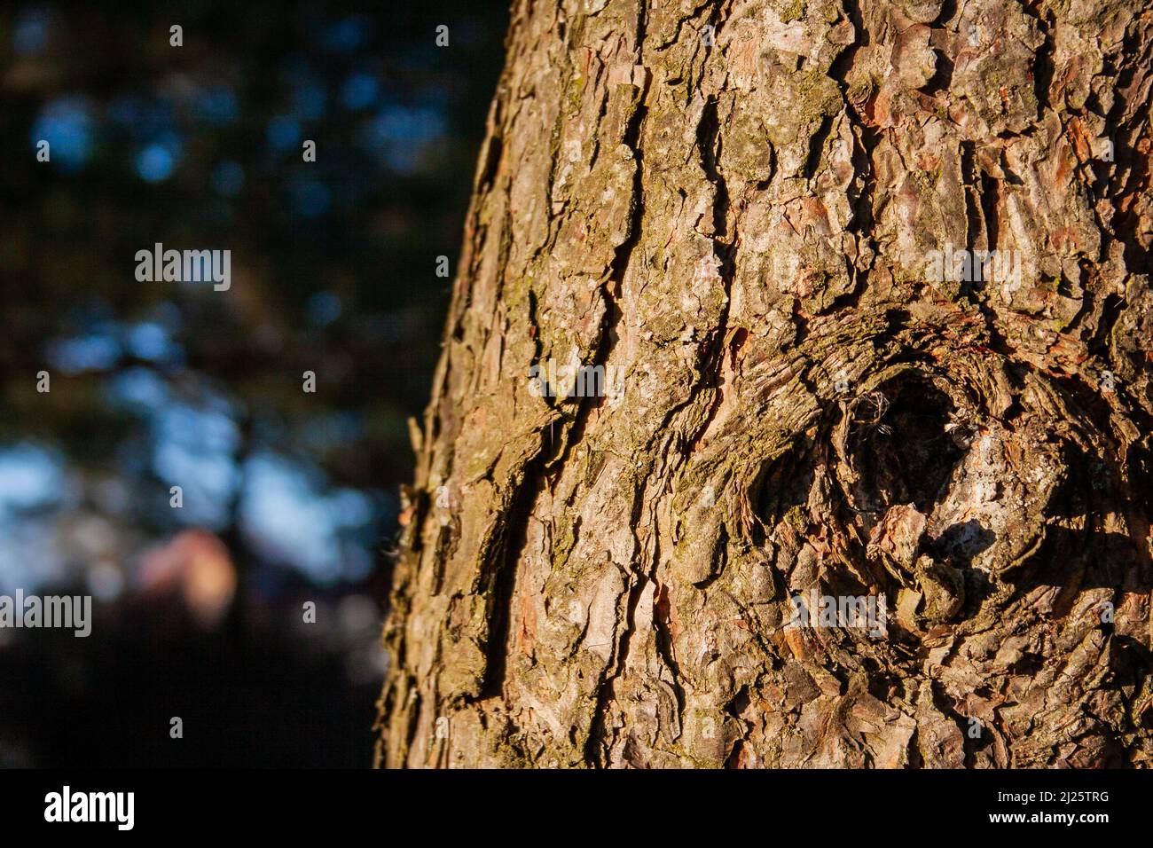 Close to nature landscapes hi-res stock photography and images - Alamy
