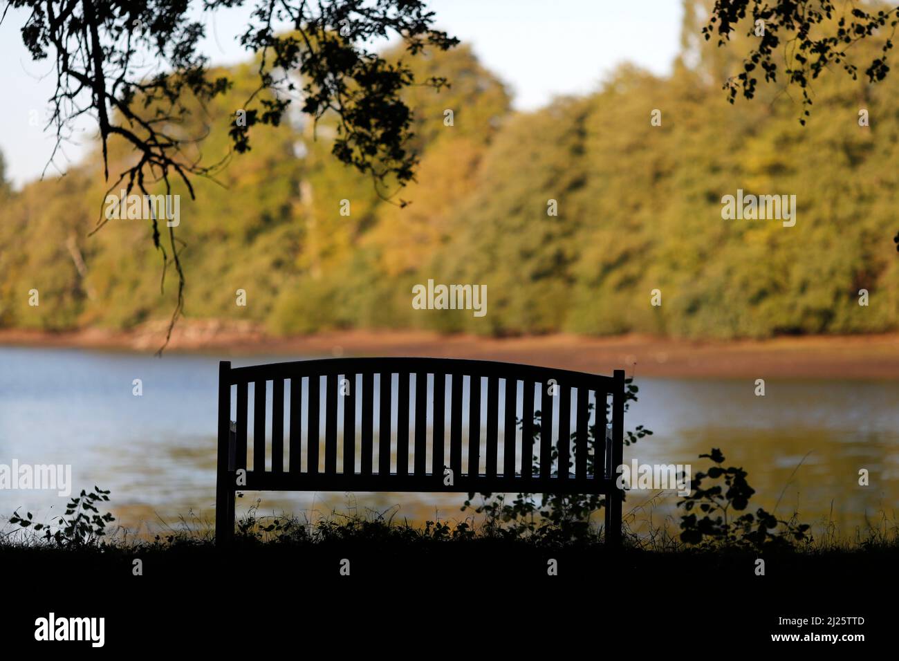 An empty bench facing a lake and a forest Stock Photo - Alamy