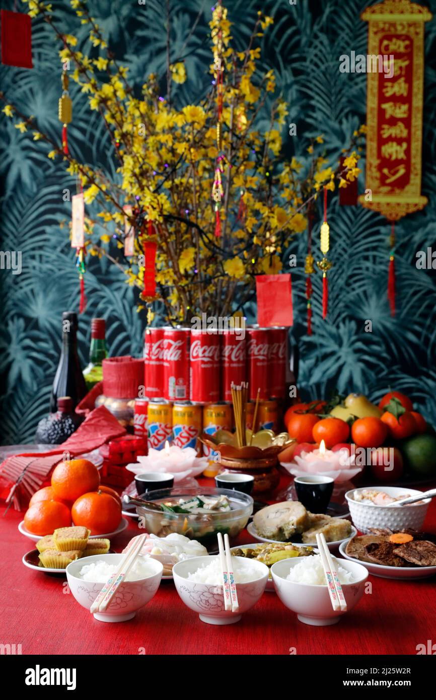 Chinese Lunar New Year. Yellow tree decorated for vietnamese Tet ...