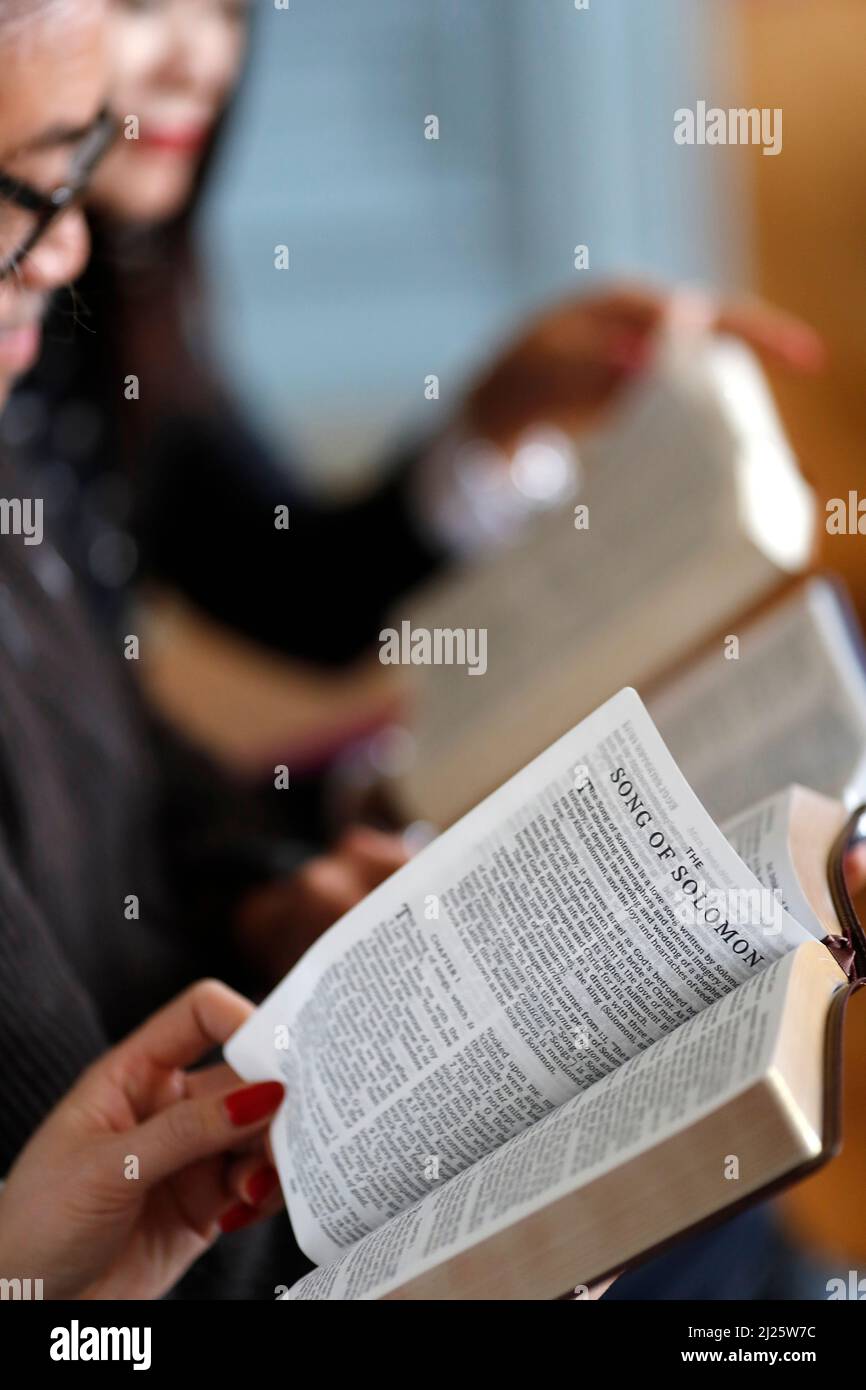 Group of christians reading the bible. Bible study Stock Photo - Alamy