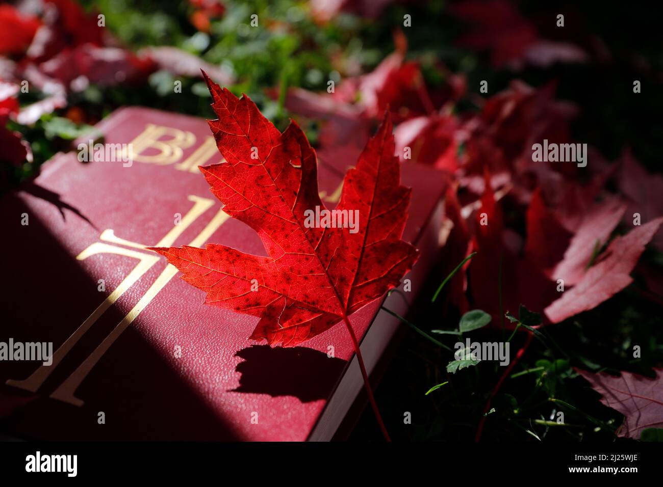 Bible rouge hi-res stock photography and images - Alamy