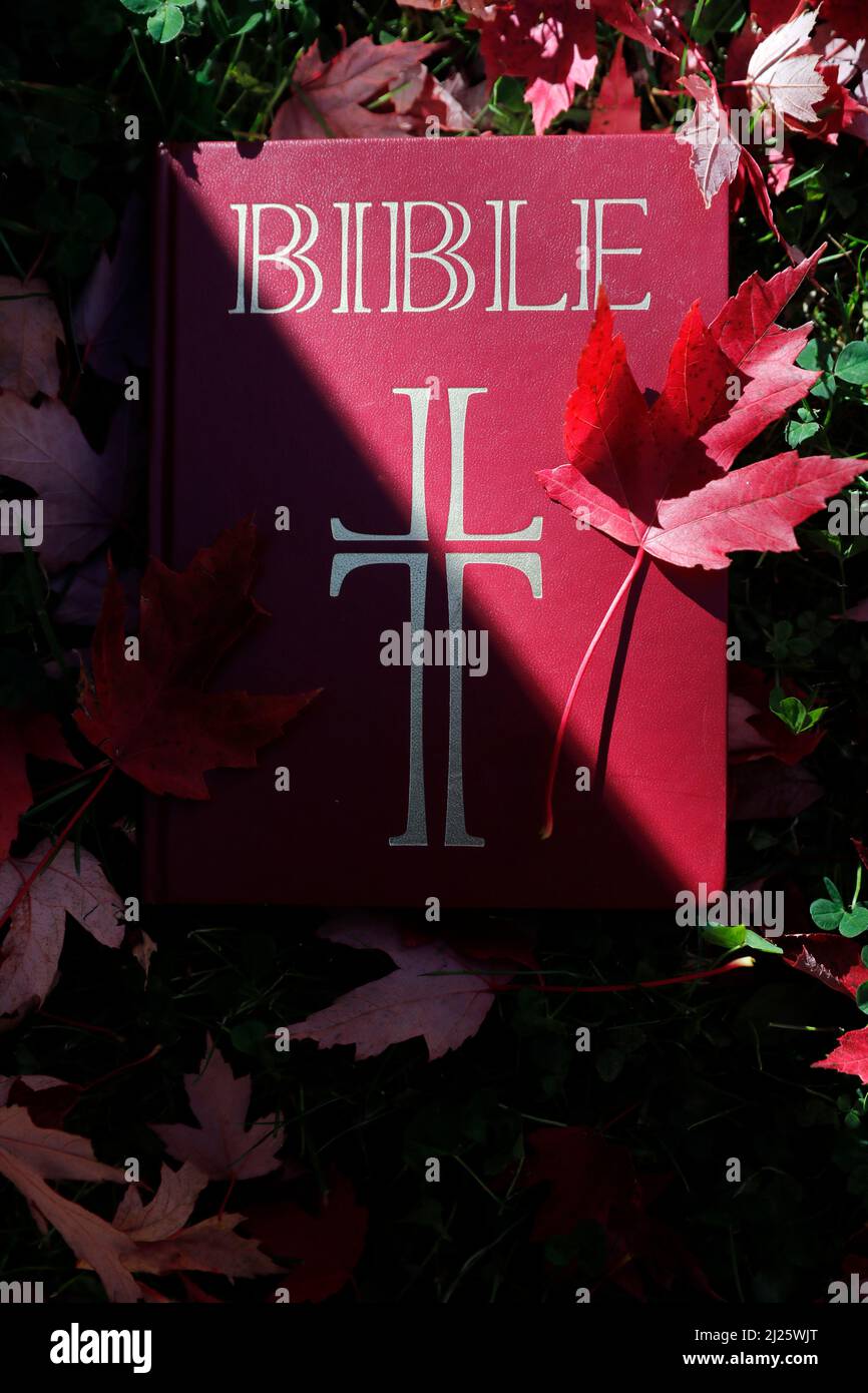 Holy Bible book with autumn leaves Stock Photo - Alamy