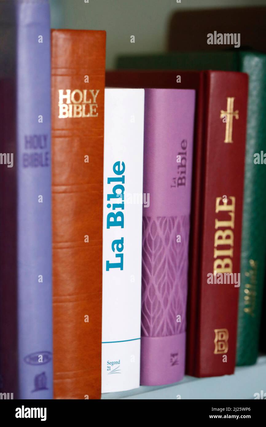 Christian bibles of different versions on a bookshelf. Religious symbol ...