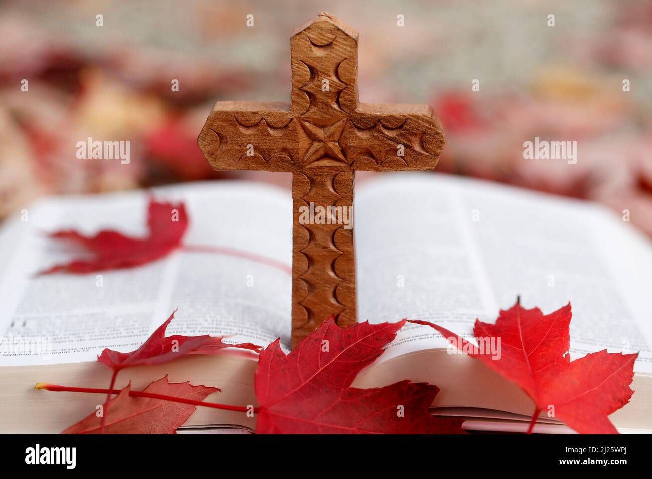 Open holy bible, christian wooden cross and autumn leaves Stock Photo ...