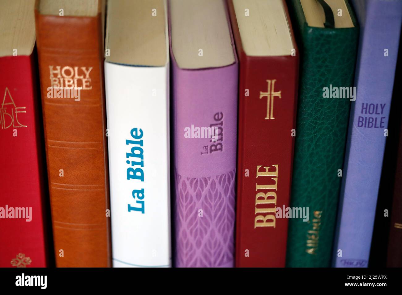 Christian bibles of different versions on a bookshelf. Religious symbol ...