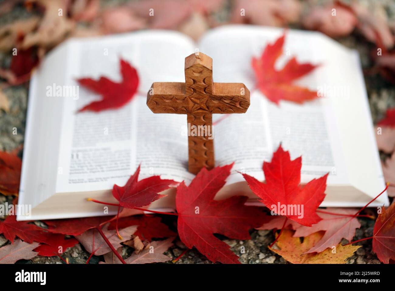 Open holy bible, christian wooden cross and autumn leaves Stock Photo ...