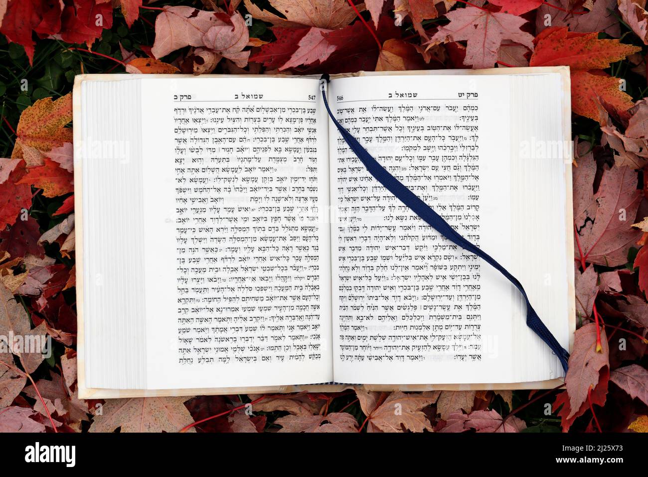 Open Torah book in hebrew. Jewish symbol Stock Photo - Alamy