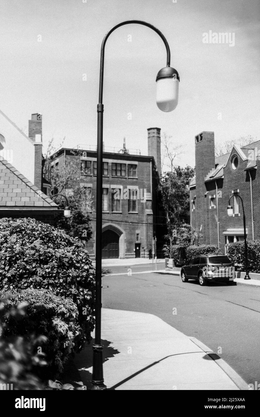 A vertical grayscale shot of a street light in Downtown New Haven ...
