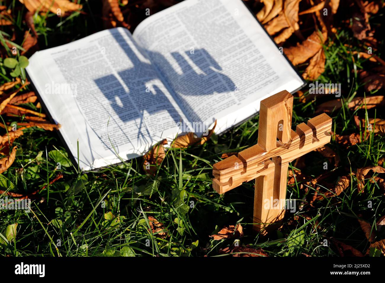Open bible and christian cross on dry fallen autumn leaves. Faith and ...