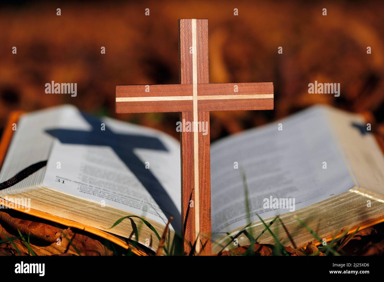 Open bible and christian cross on dry fallen autumn leaves. Faith and ...