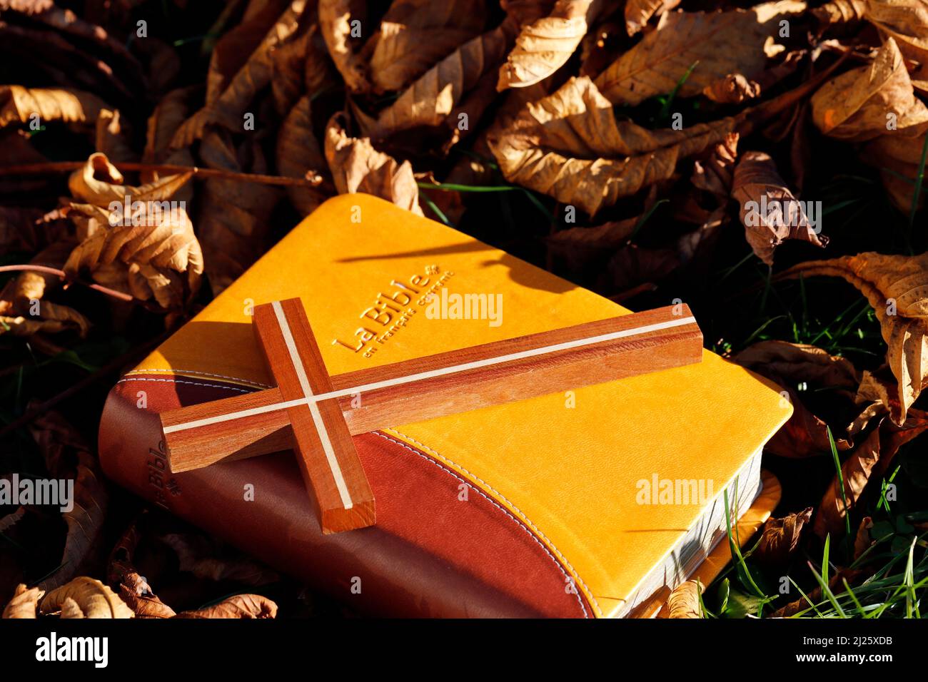 Open bible and christian cross on dry fallen autumn leaves. Faith and ...