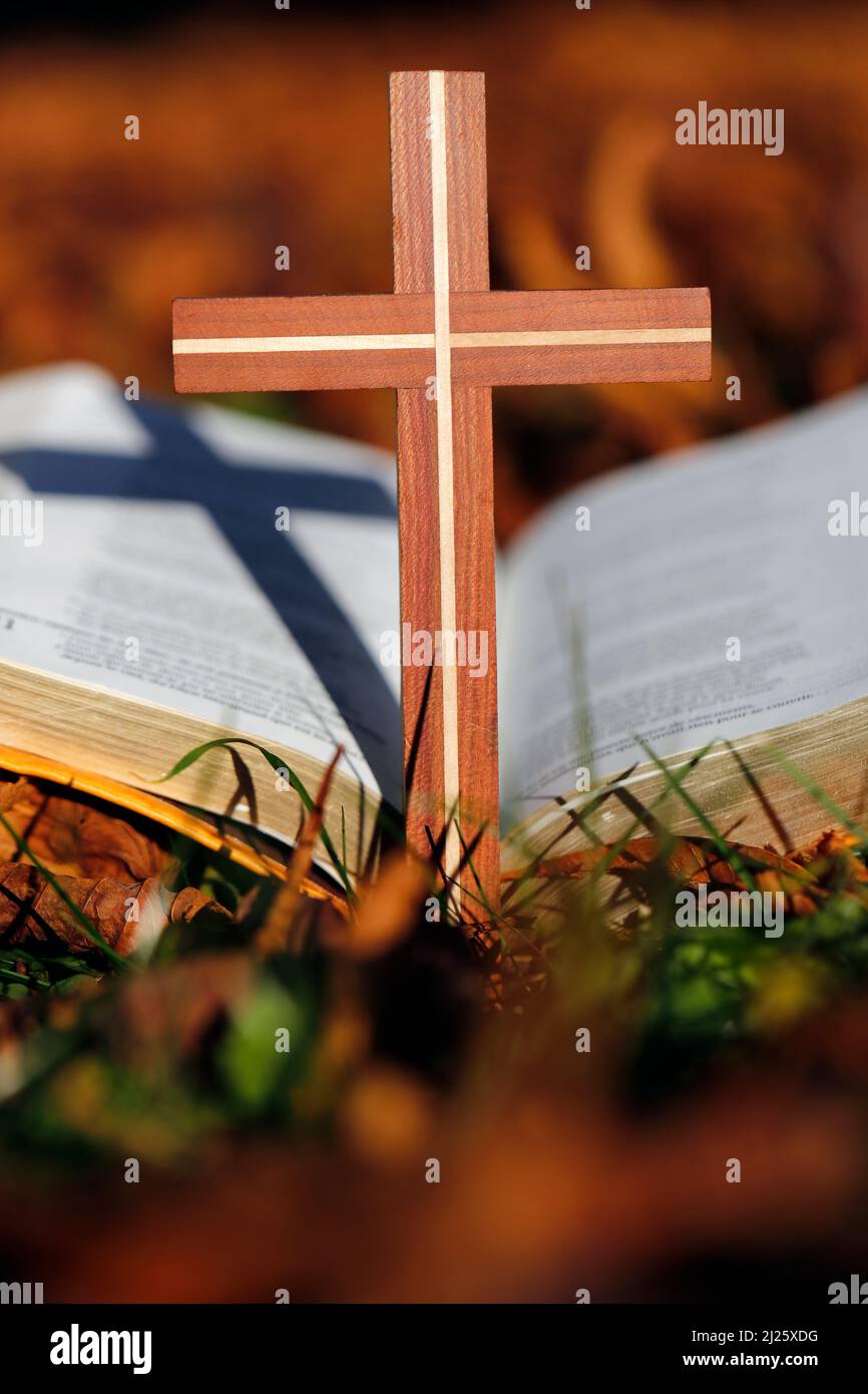 Open bible and christian cross on dry fallen autumn leaves. Faith and ...