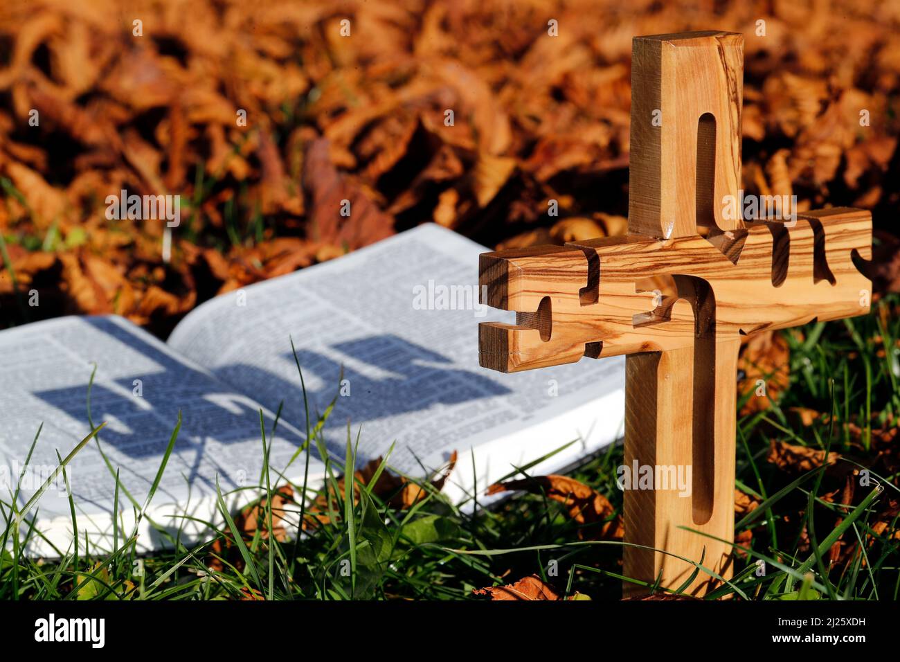 Open bible and christian cross on dry fallen autumn leaves. Faith and ...