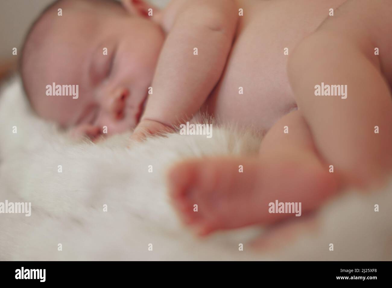 Newborn shooting in aesthetic studio - Cute little baby sleeping ...