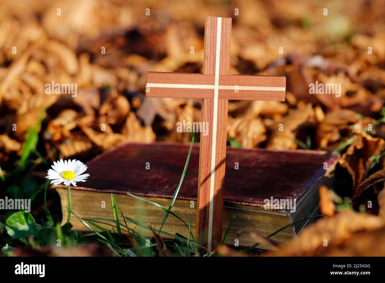 Bible and christian cross on dry fallen autumn leaves. Faith and ...