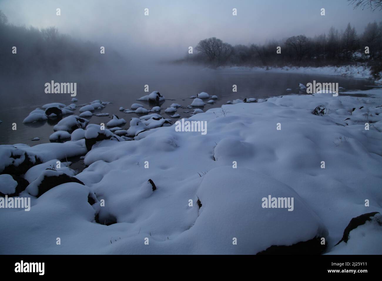 A beautiful scenery of the lake and trees during winter on a foggy day ...