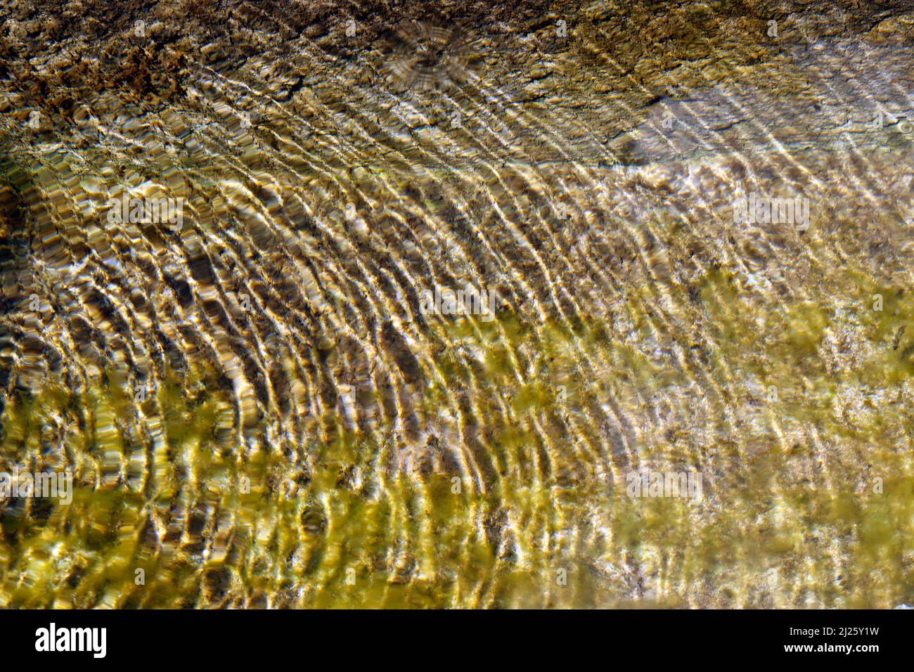 Colorful liquid abstract water reflection Stock Photo - Alamy