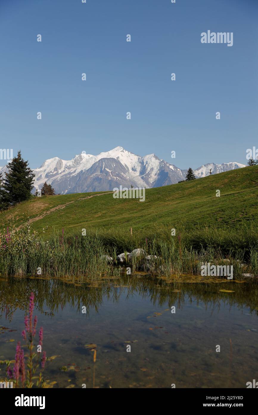 Lake and Mont-Blanc massif in the french Alps Stock Photo - Alamy