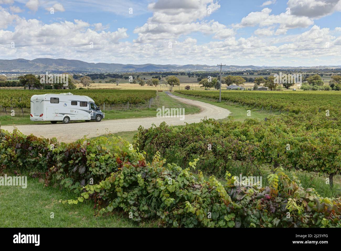 The view of the green vineyards. Beautiful countryside landscape ...