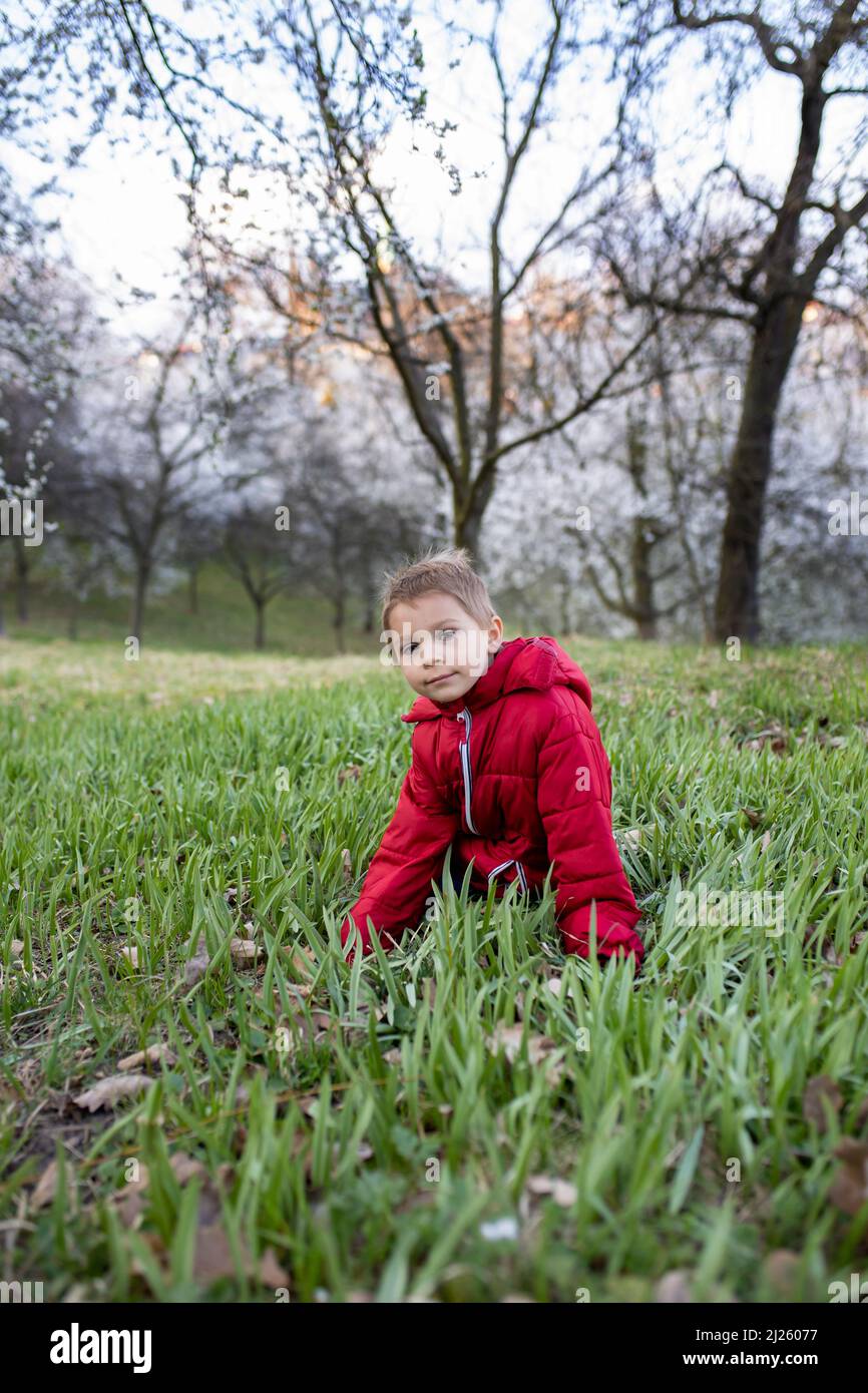 Happy child, toddler boy, visiting spring park in Prague, walking at ...