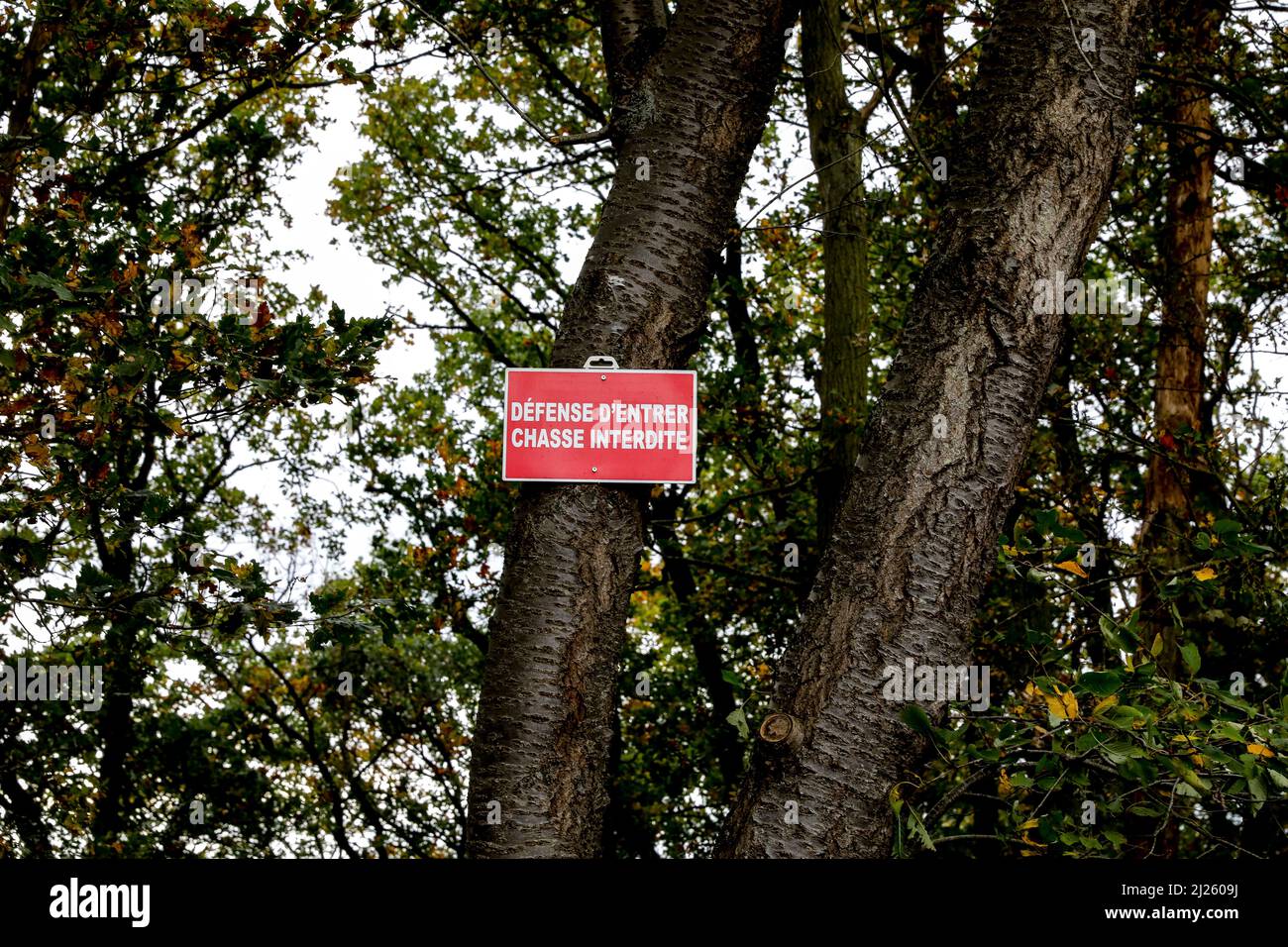 No Entry sign in a Normandy forest, France Stock Photo - Alamy