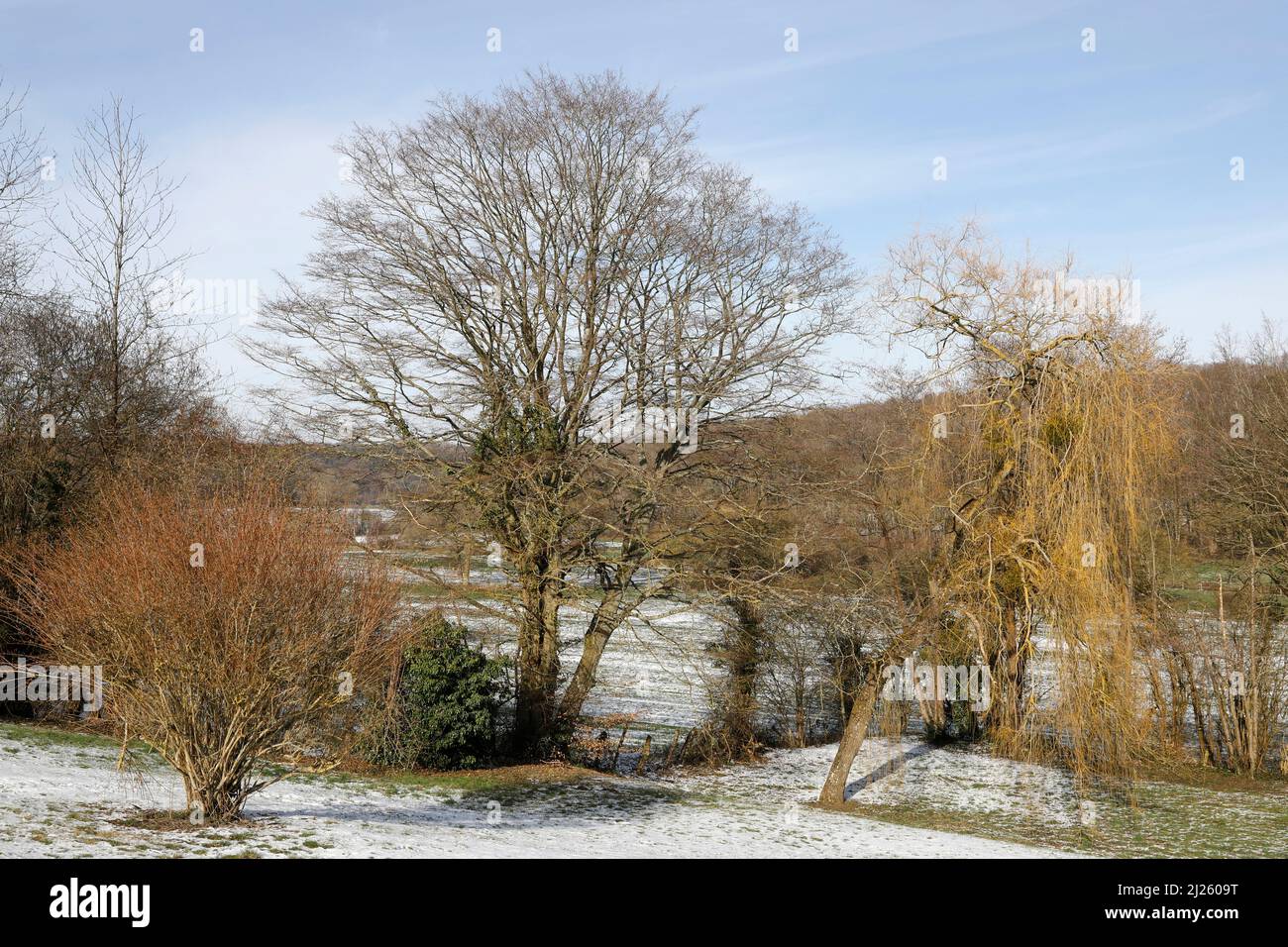 Snowy Risle valley landscape, Normandy, France Stock Photo - Alamy