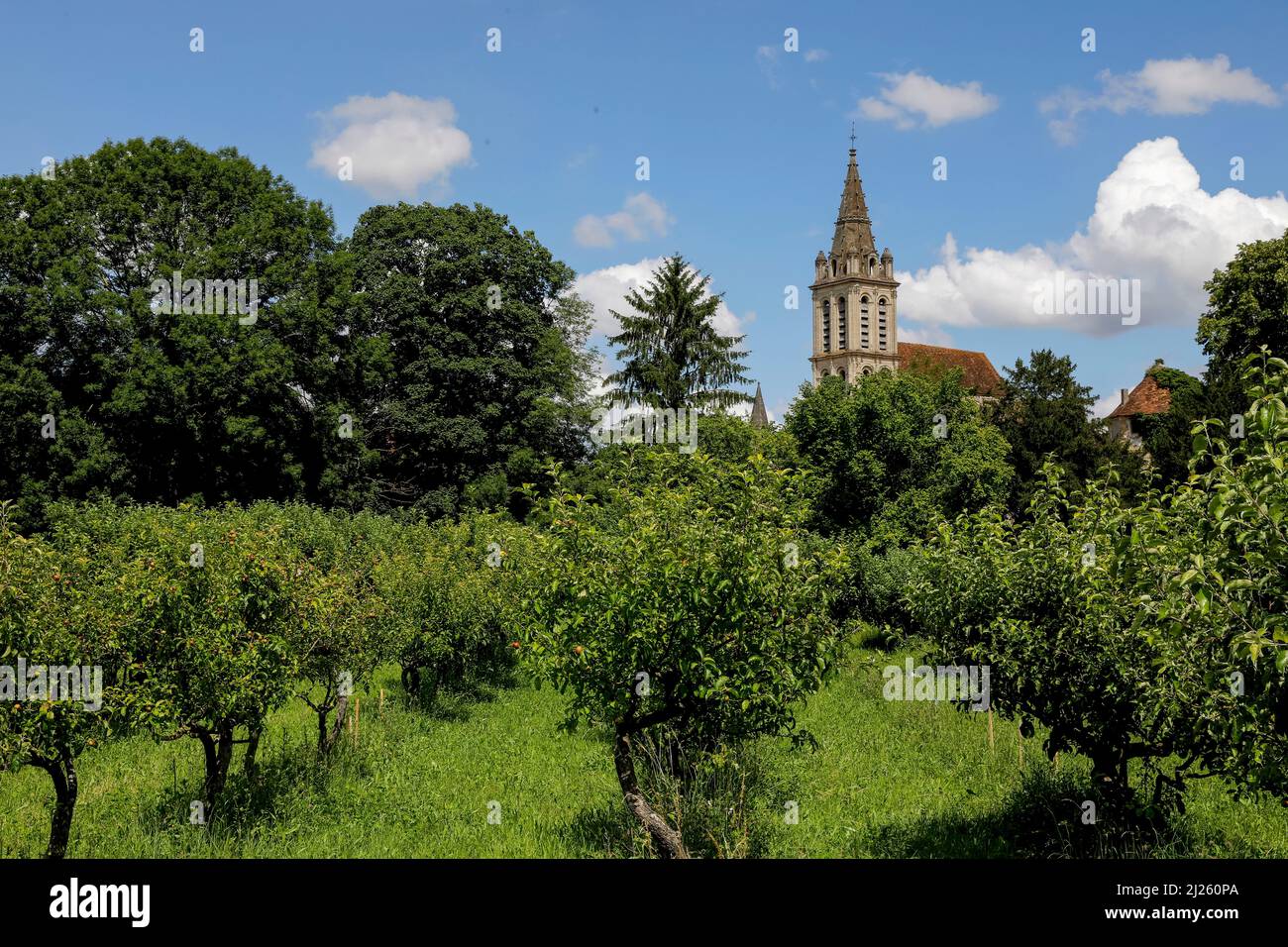 Orchard and church in Cergy, France Stock Photo - Alamy