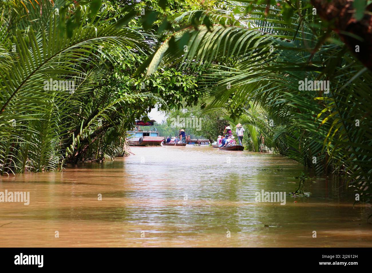 Sampans on a secluded backwater canal under overhanging nipa palms in ...